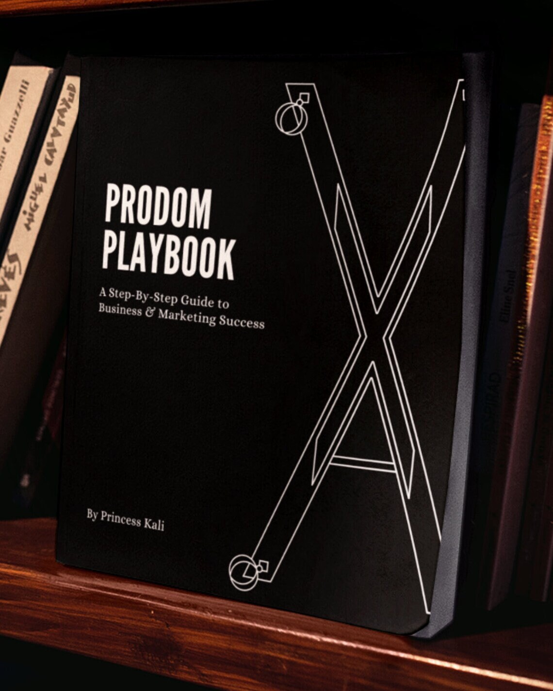 The Prodom Playbook new Workbook Sex Work Book, Kinky BDSM Journal Sexy ...