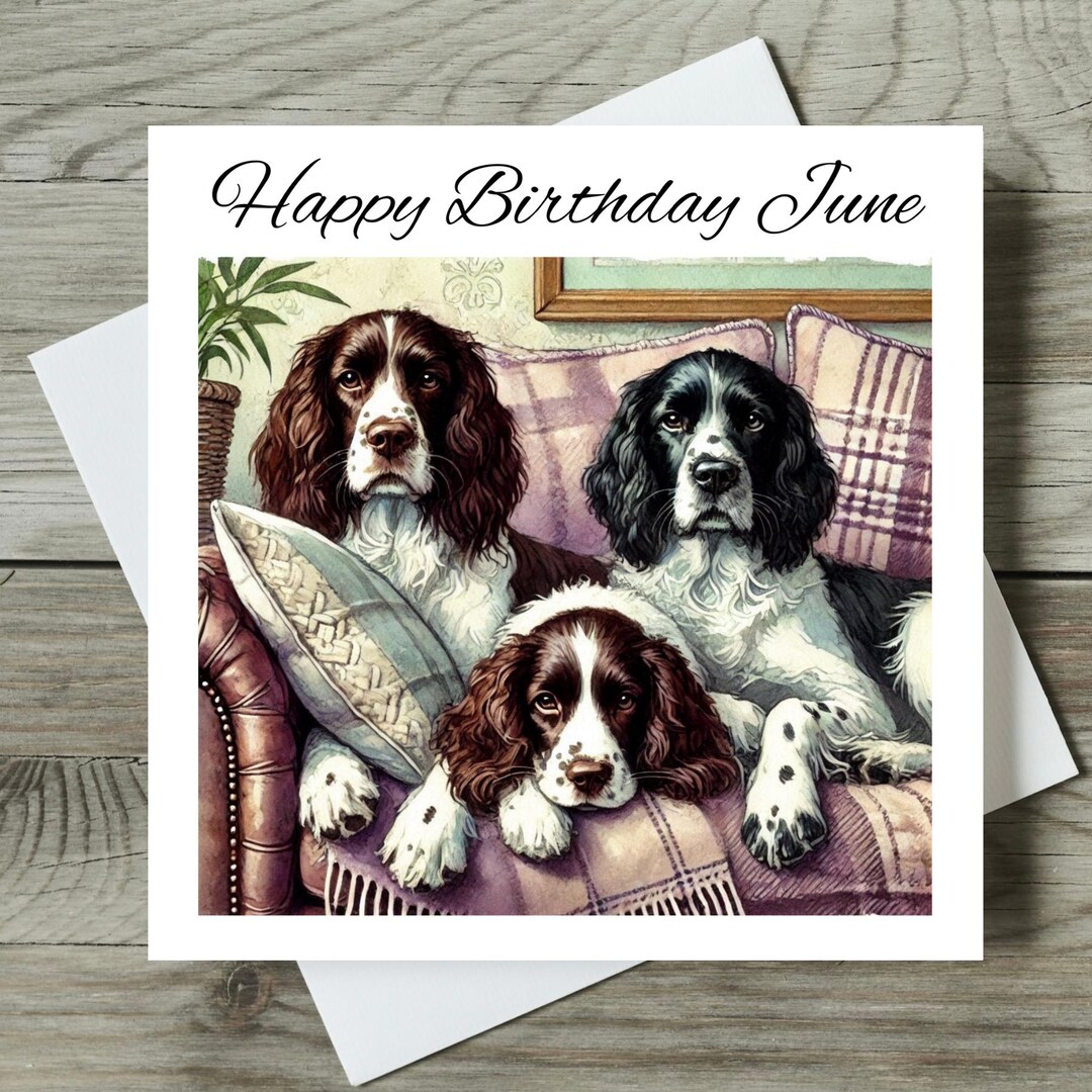 Springer Spaniel Birthday Card Personalised Dog, Greetings Card for Dog ...