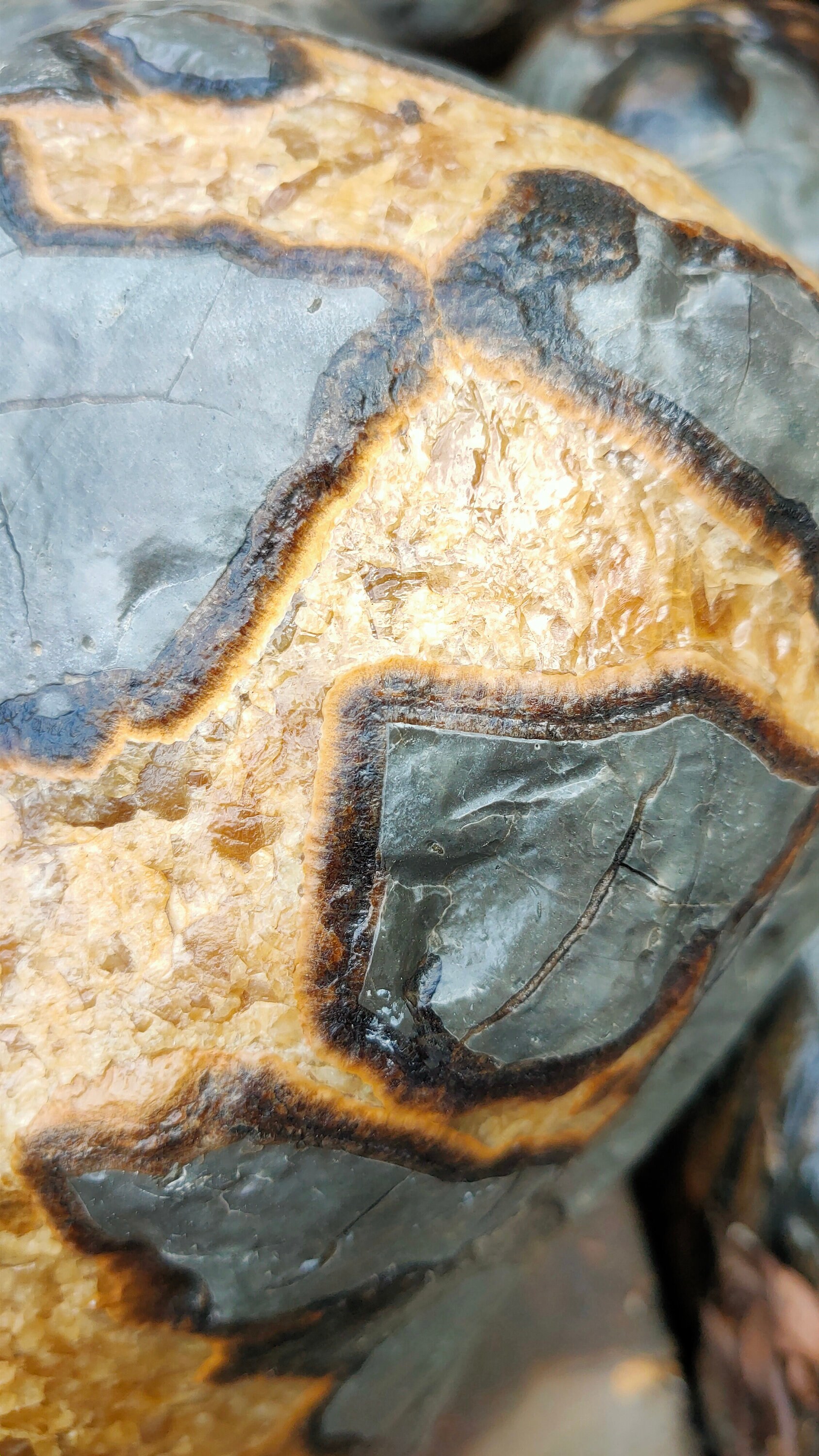 Septarian Nodule Giant Dragon Egg 20kg. Beautiful Calcite - Etsy