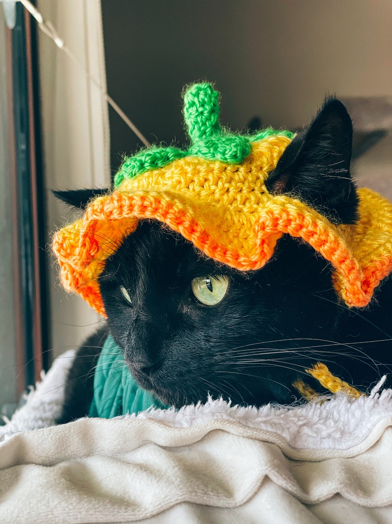 Flower Cat Hat Pattern - Etsy