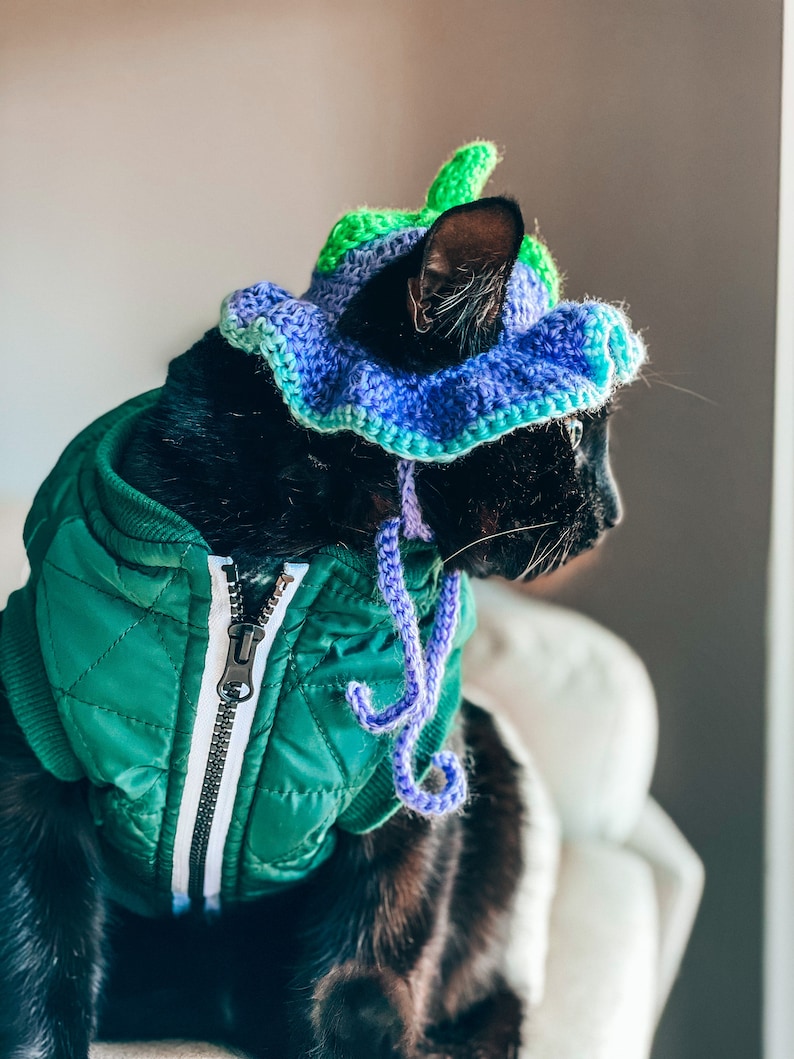 Flower Cat Hat Pattern - Etsy