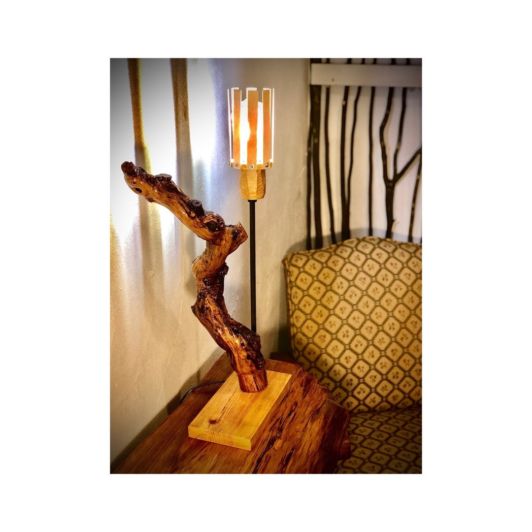 LIGHTED VINE 02 Lighting Nature, Grapevine Trunk Lighting, Vine Stock ...