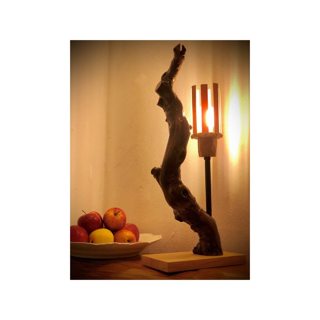 LIGHTED VINE 03 Lighting Nature, Grapevine Trunk Lighting, Vine Stock ...