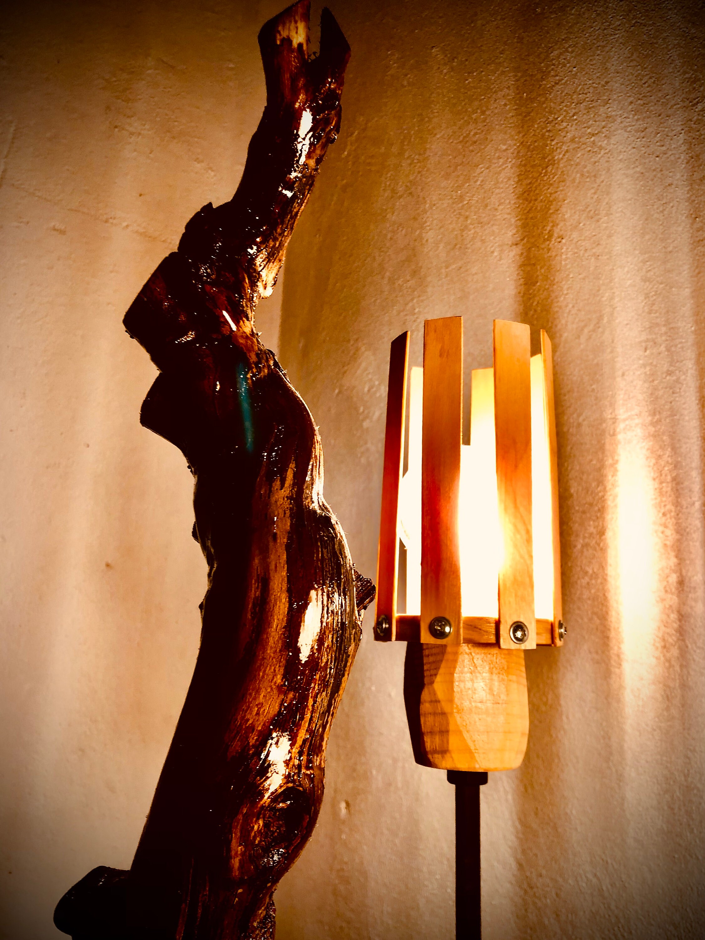 LIGHTED VINE 03 Lighting Nature, Grapevine Trunk Lighting, Vine Stock ...