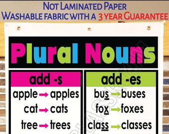 Plural Noun Anchor Chart - Etsy