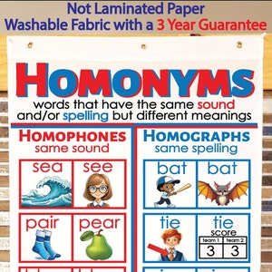 Homonyms- Homophones and Homographs Anchor Chart, Printed on FABRIC ...