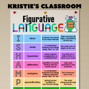 Figurative Language (i-shampoo) Anchor Chart: Durable Fabric, Washable ...