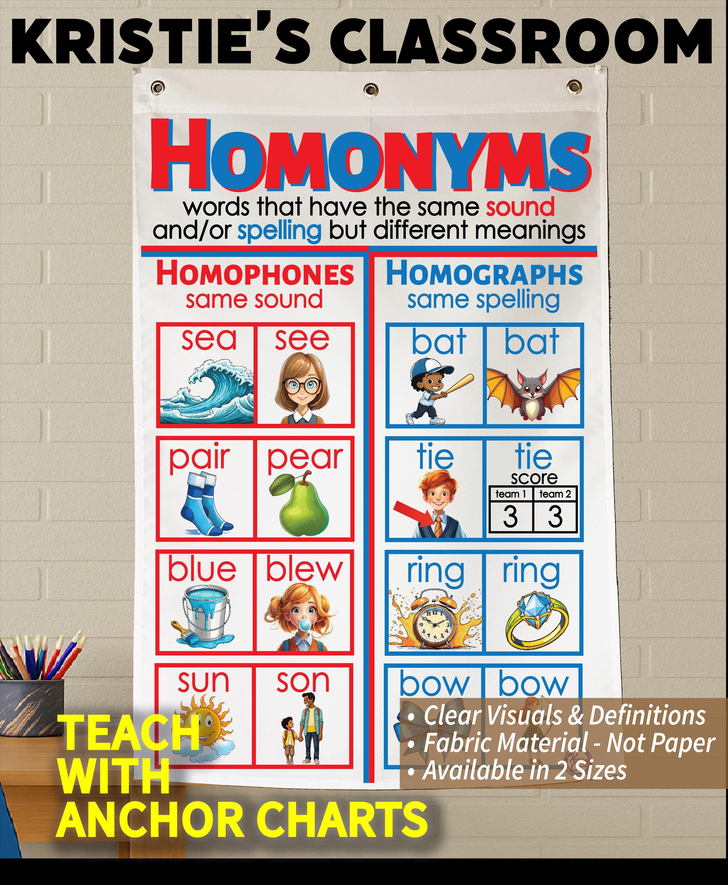 Homonyms Anchor Chart: Homophones, Homographs - Washable Fabric - Etsy