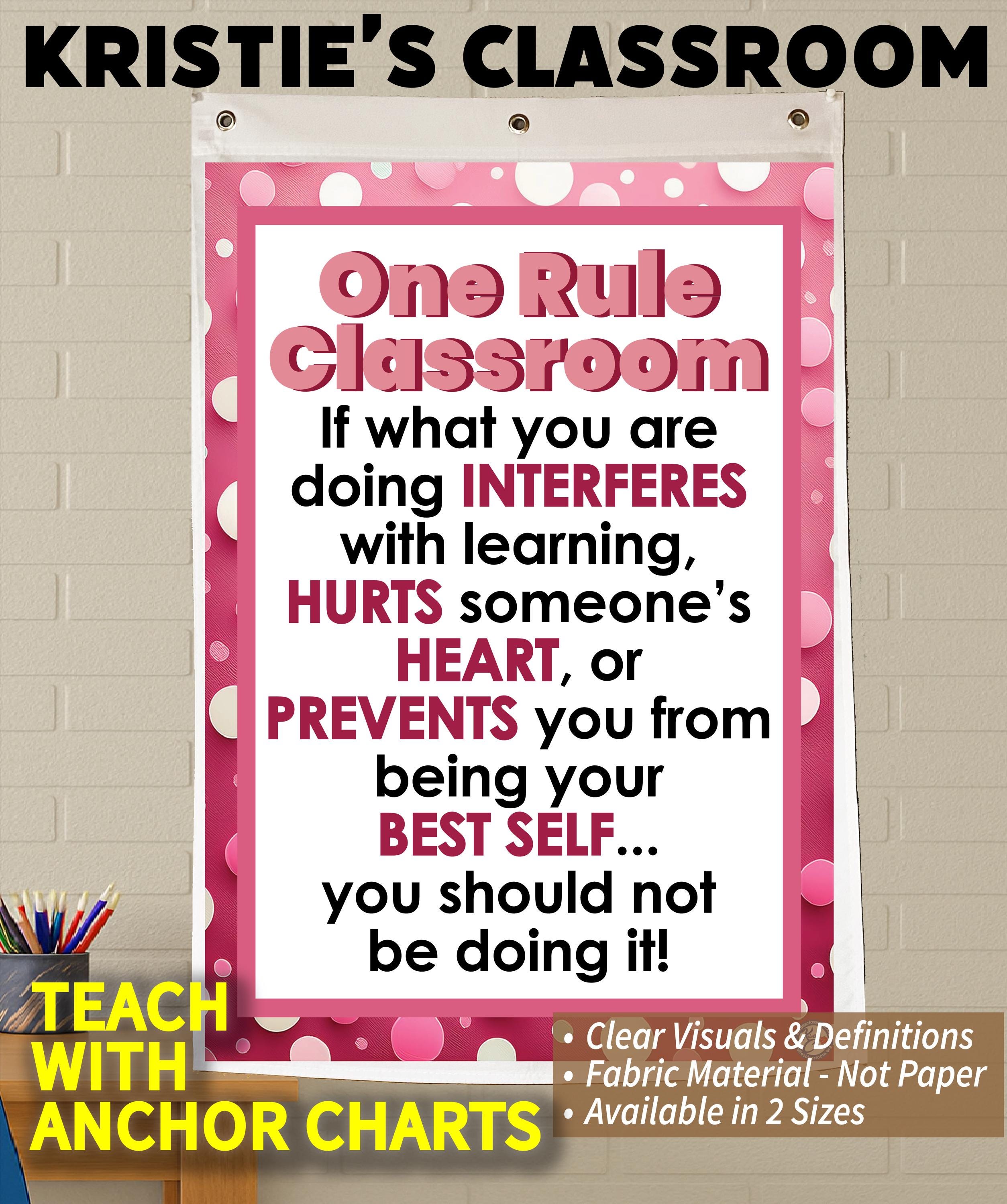 One Rule Classroom Anchor Chart (pink) - Printed Fabric With Grommets ...