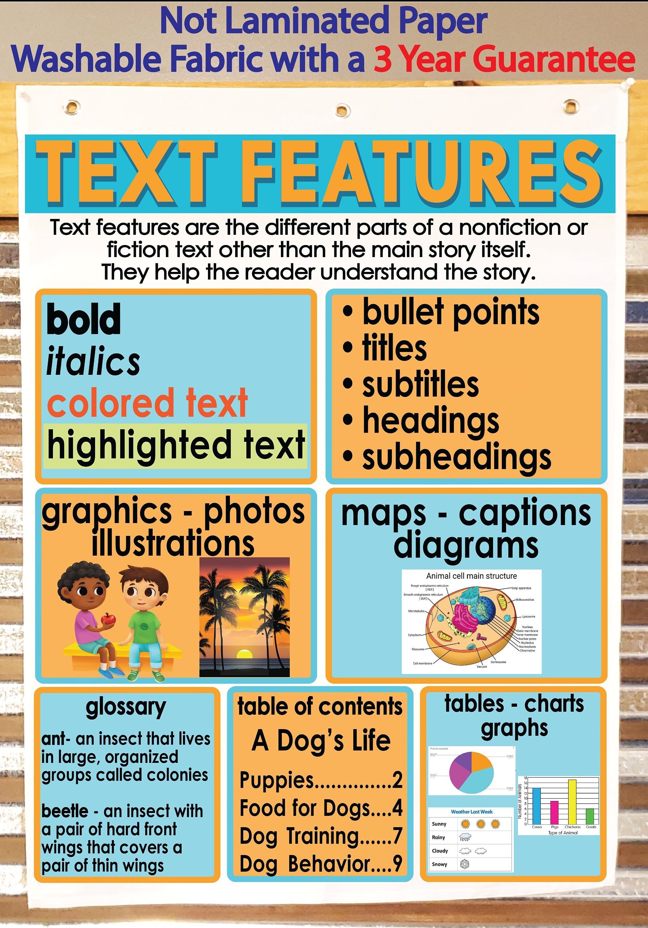 Text Features Anchor Chart Printed on FABRIC Anchor Charts Are Durable ...