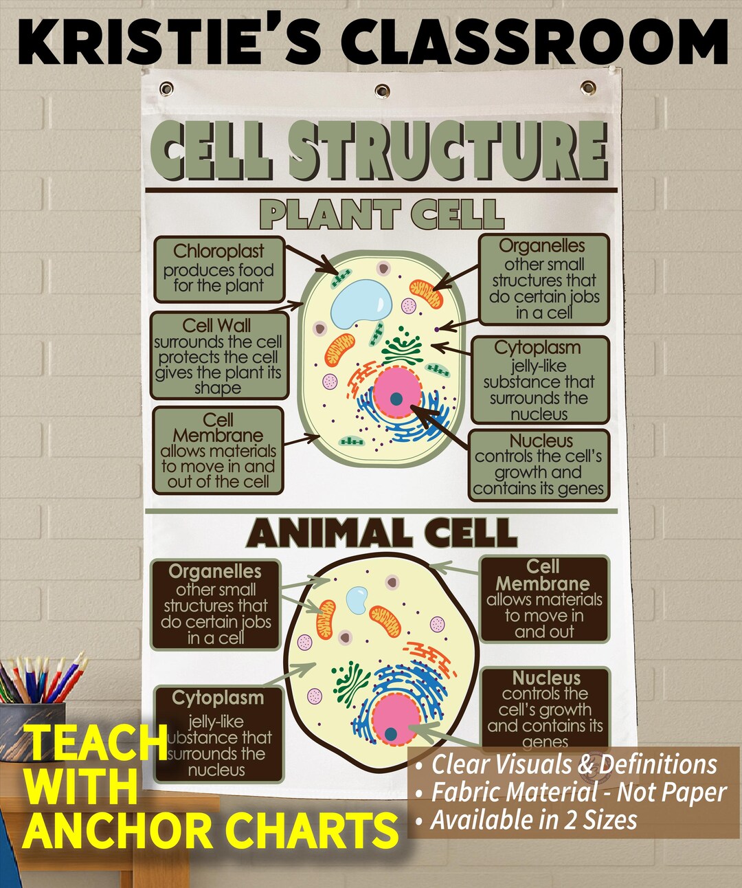 Cell Structure Anchor Chart: Plant & Animal Cells, Earth Colors - Etsy ...