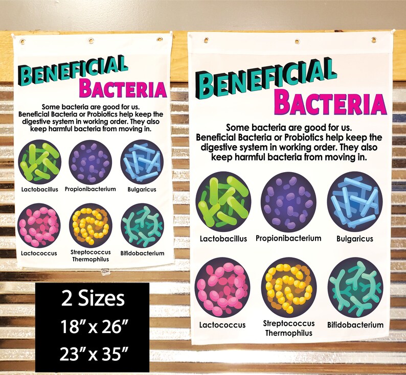 Beneficial Bacteria Anchor Chart, Printed on FABRIC Anchor Charts Are ...