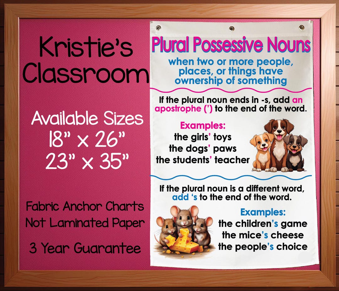 Plural Possessive Nouns Anchor Chart, Printed on FABRIC! Durable Flag ...