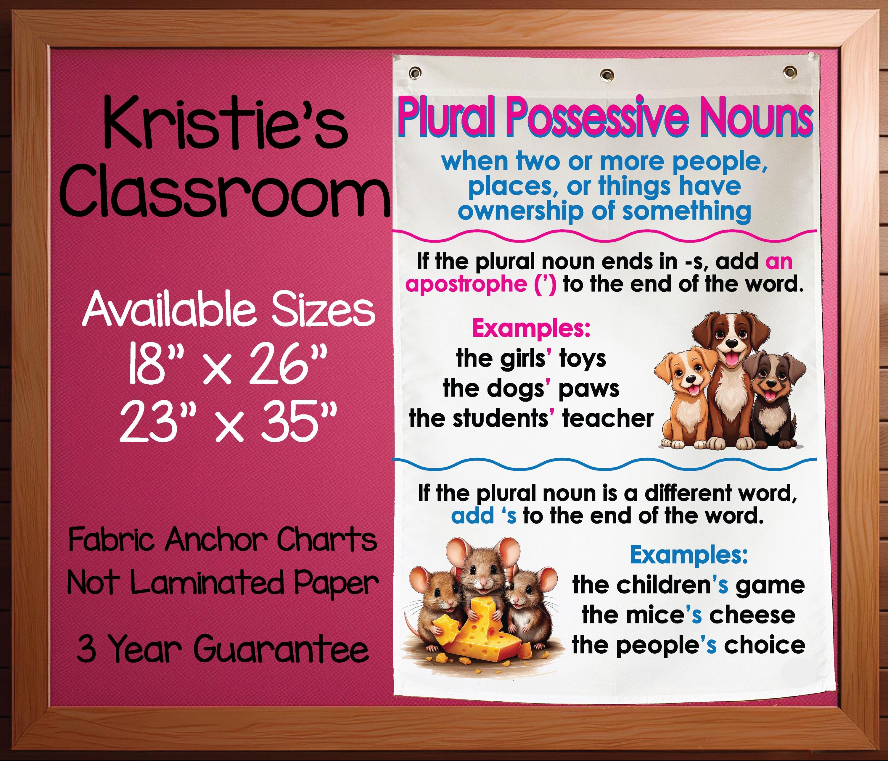 Possessive Nouns Poster Possessive Nouns Task Cards And Anchor Charts