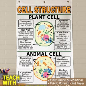 Plant & Animal Cell Structure Anchor Chart: Washable Fabric, Grommets ...