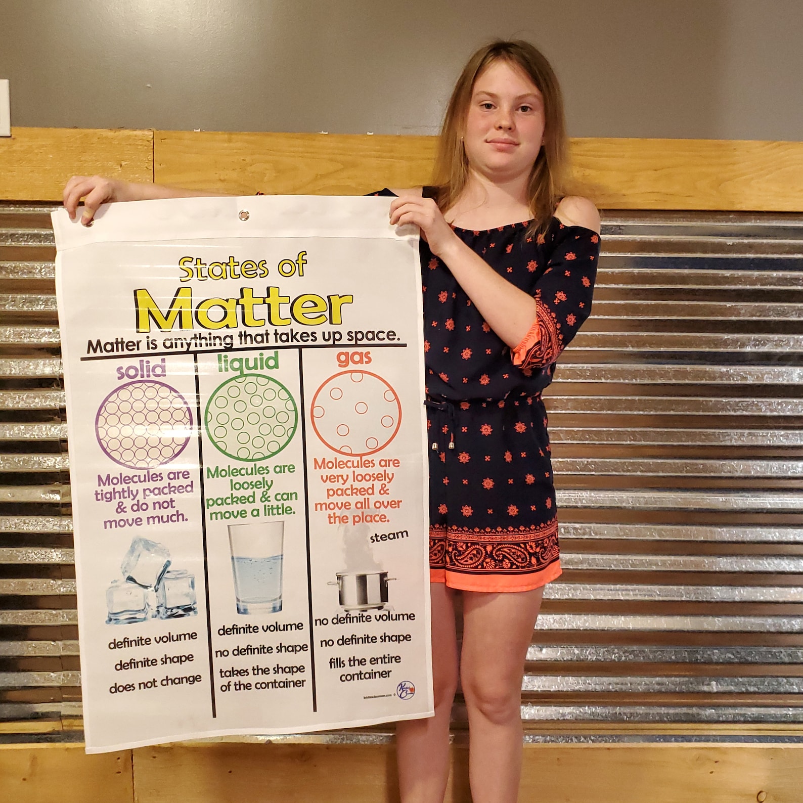 Vertebrates & Invertebrates Anchor Chart Printed on FABRIC Durable Flag ...