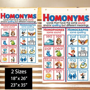 Homonyms- Homophones and Homographs Anchor Chart, Printed on FABRIC ...