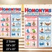 Homonyms Homophones and Homographs Anchor Chart, Printed on FABRIC Flag ...