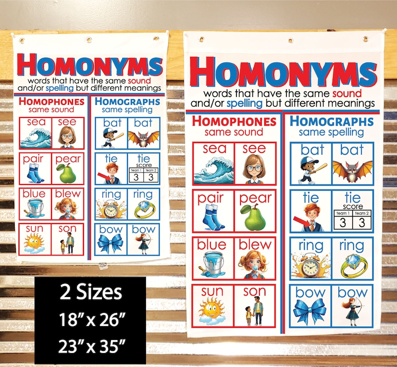 Homonyms Homophones and Homographs Anchor Chart, Printed on FABRIC Flag ...