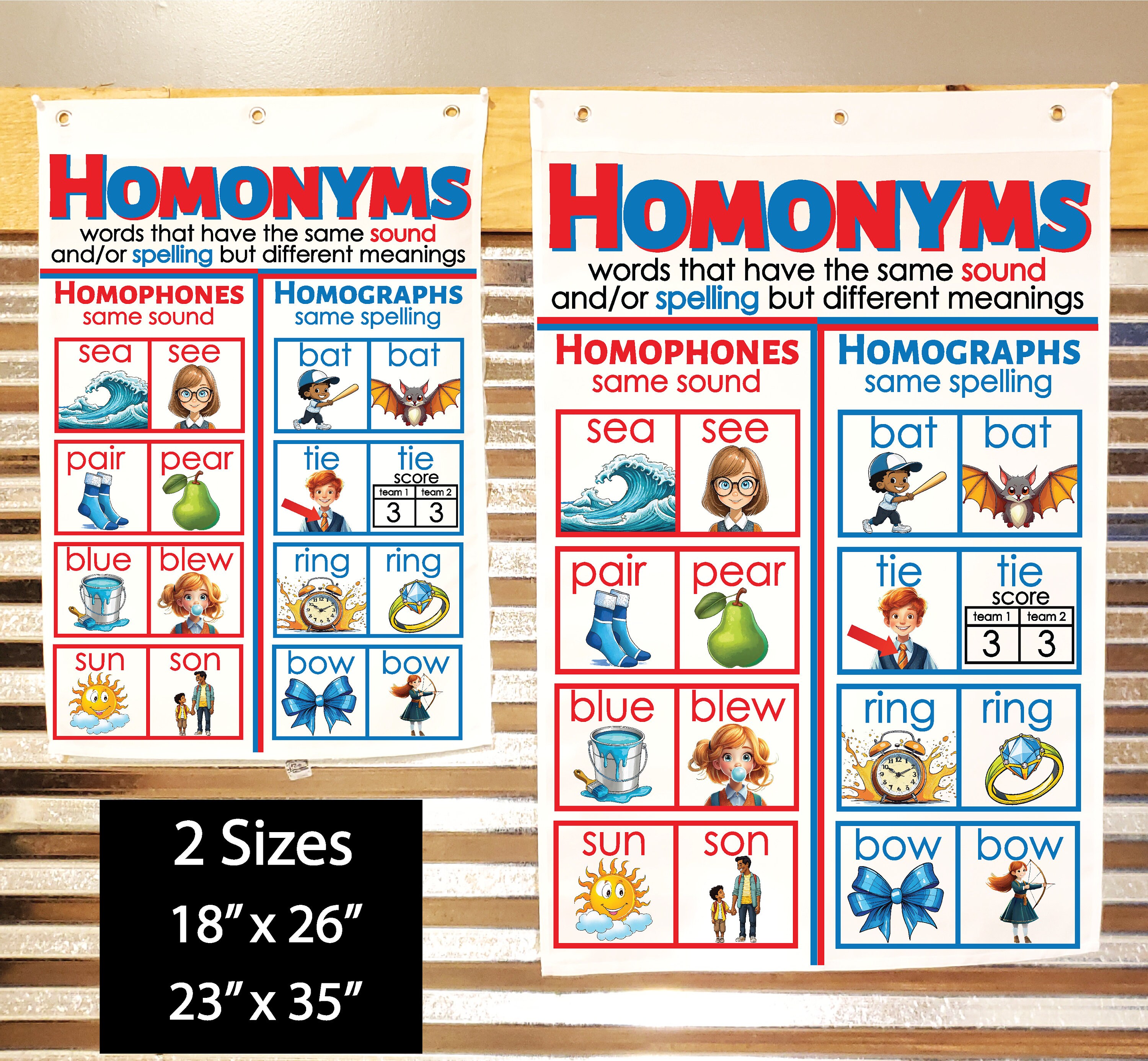 Homonyms Homophones and Homographs Anchor Chart, Printed on FABRIC Flag ...