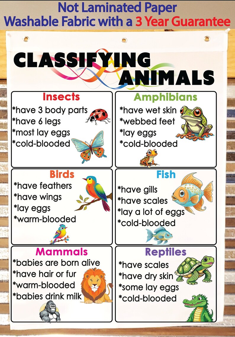 Classifying Animals Anchor Chart, Printed on FABRIC Durable Flag ...