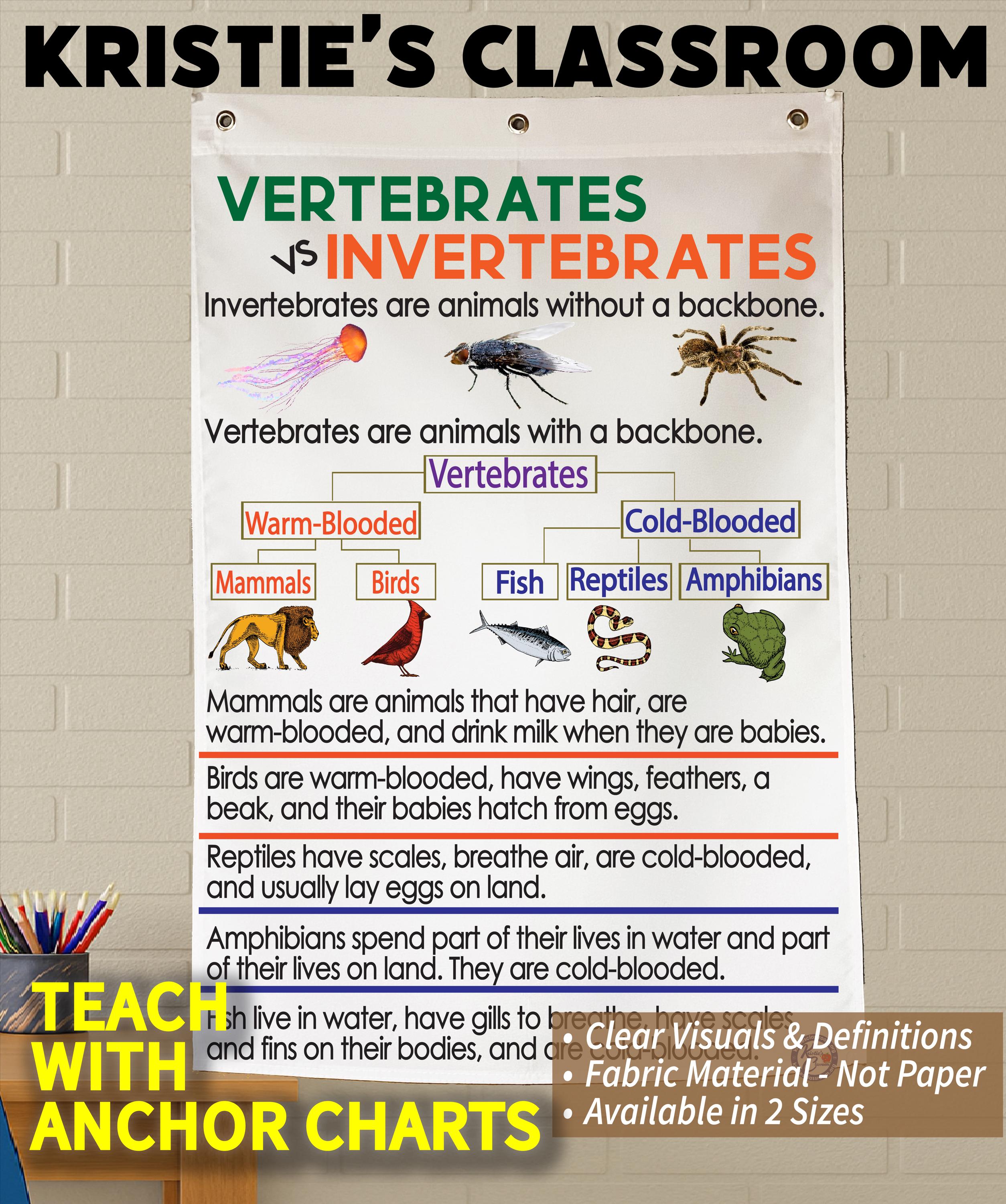 What Do All Vertebrates And Invertebrates Have In Common