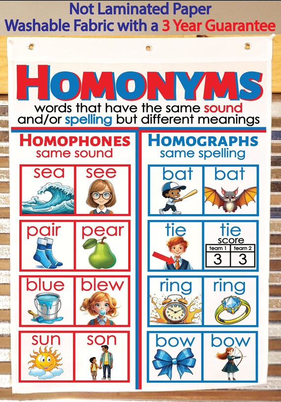 Trend Enterprises Homophones Learning Chart English Language Teaching