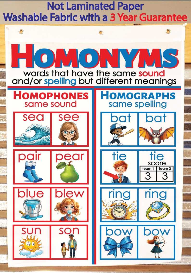 Homonyms Homophones and Homographs Anchor Chart, Printed on FABRIC Flag ...