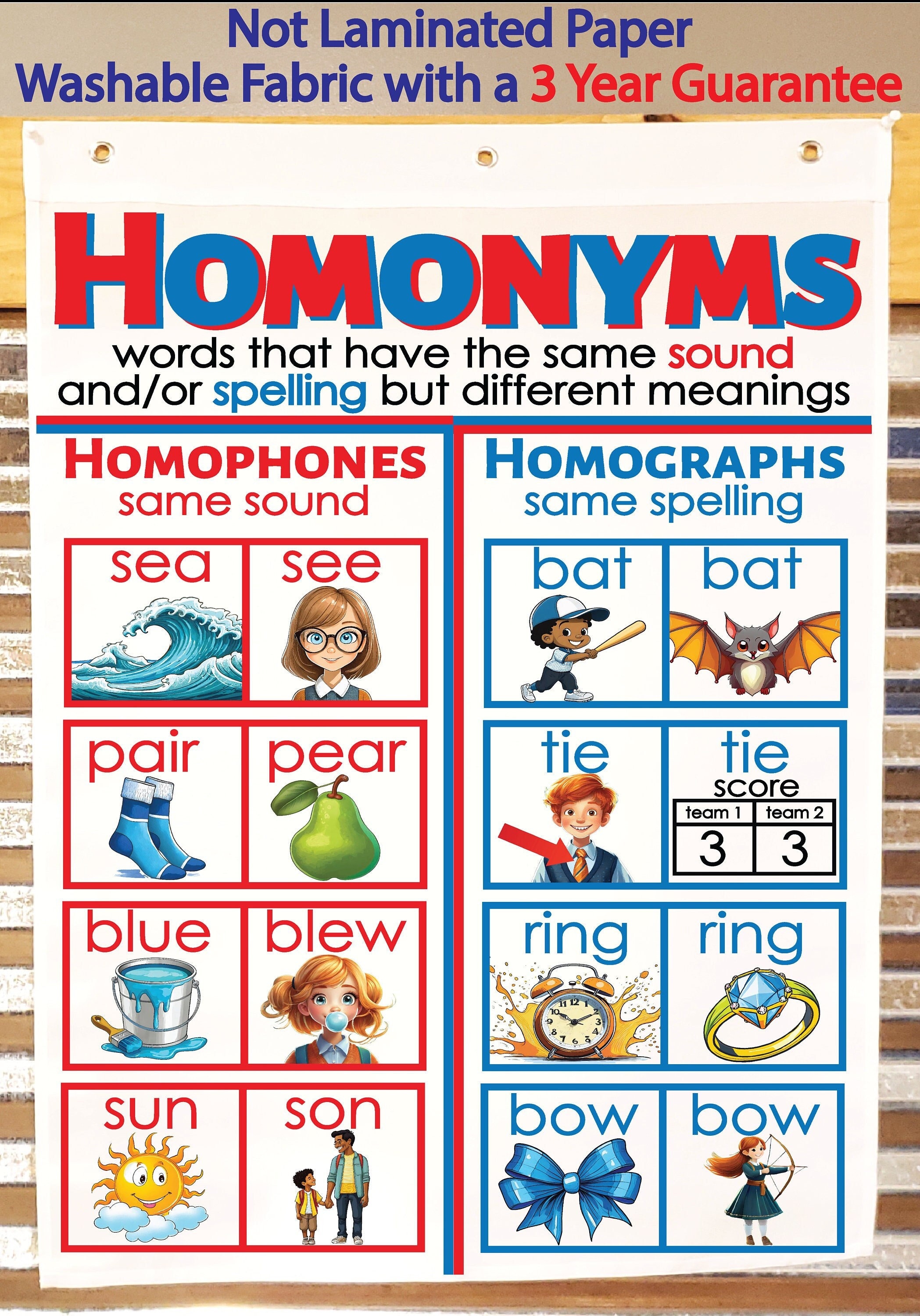 Homonyms Homophones and Homographs Anchor Chart, Printed on FABRIC Flag ...