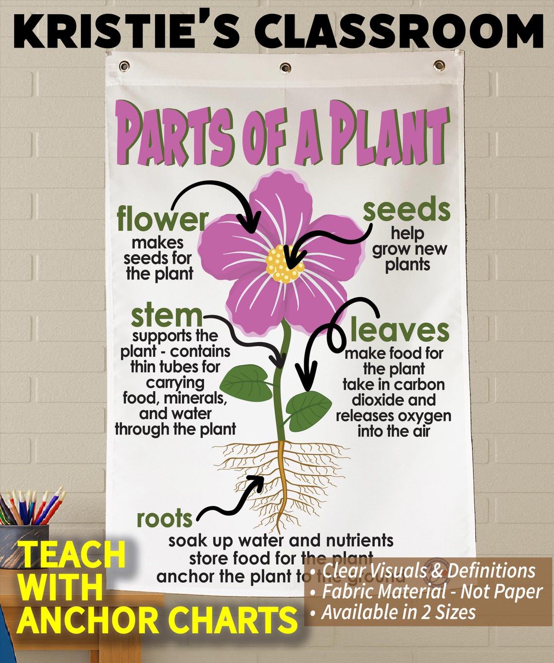 Parts of a Plant Anchor Chart: Washable Fabric Classroom Decor - Etsy