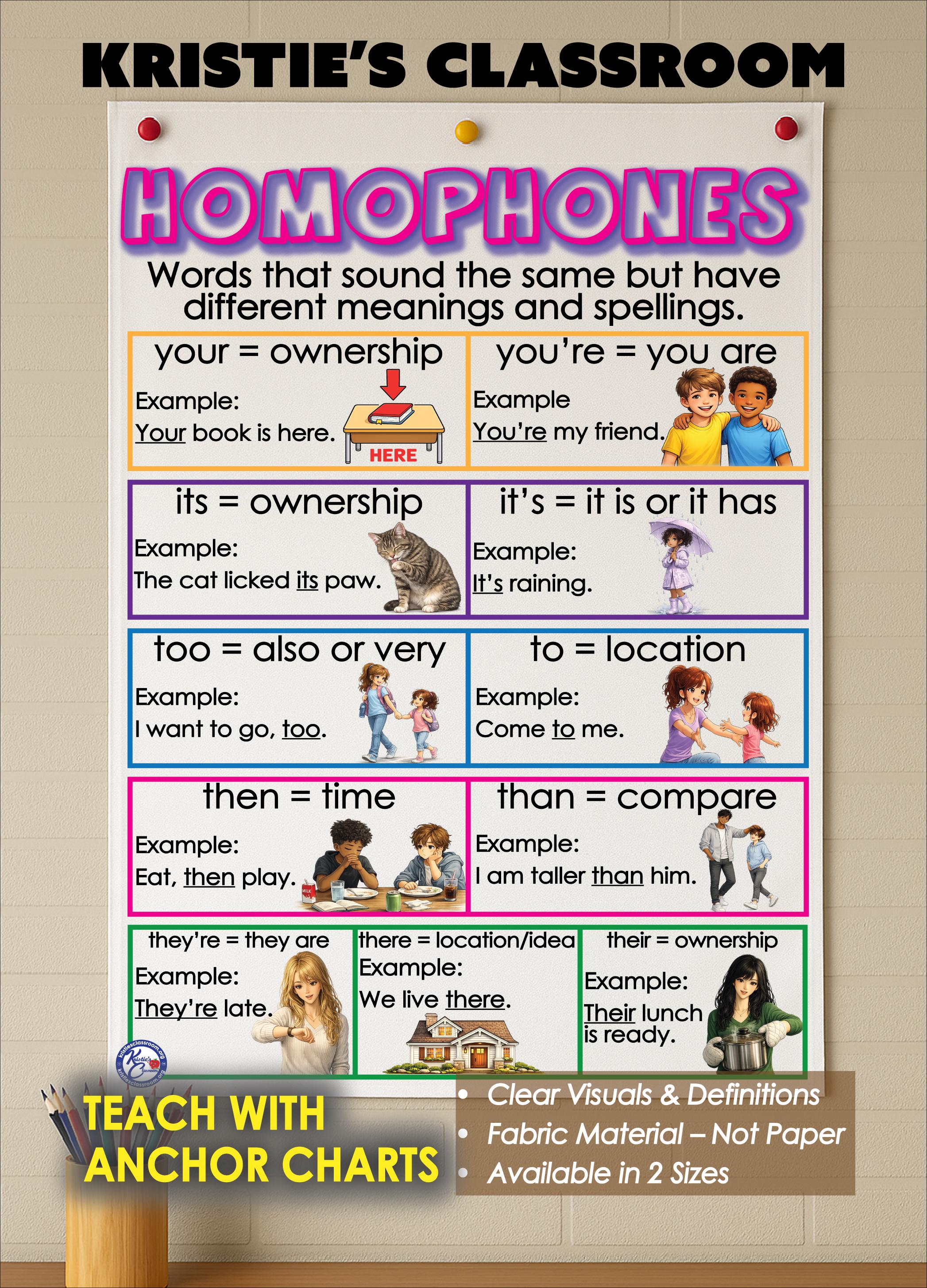 Homophones Anchor Chart: Homophones, Homographs - Washable Fabric - Etsy