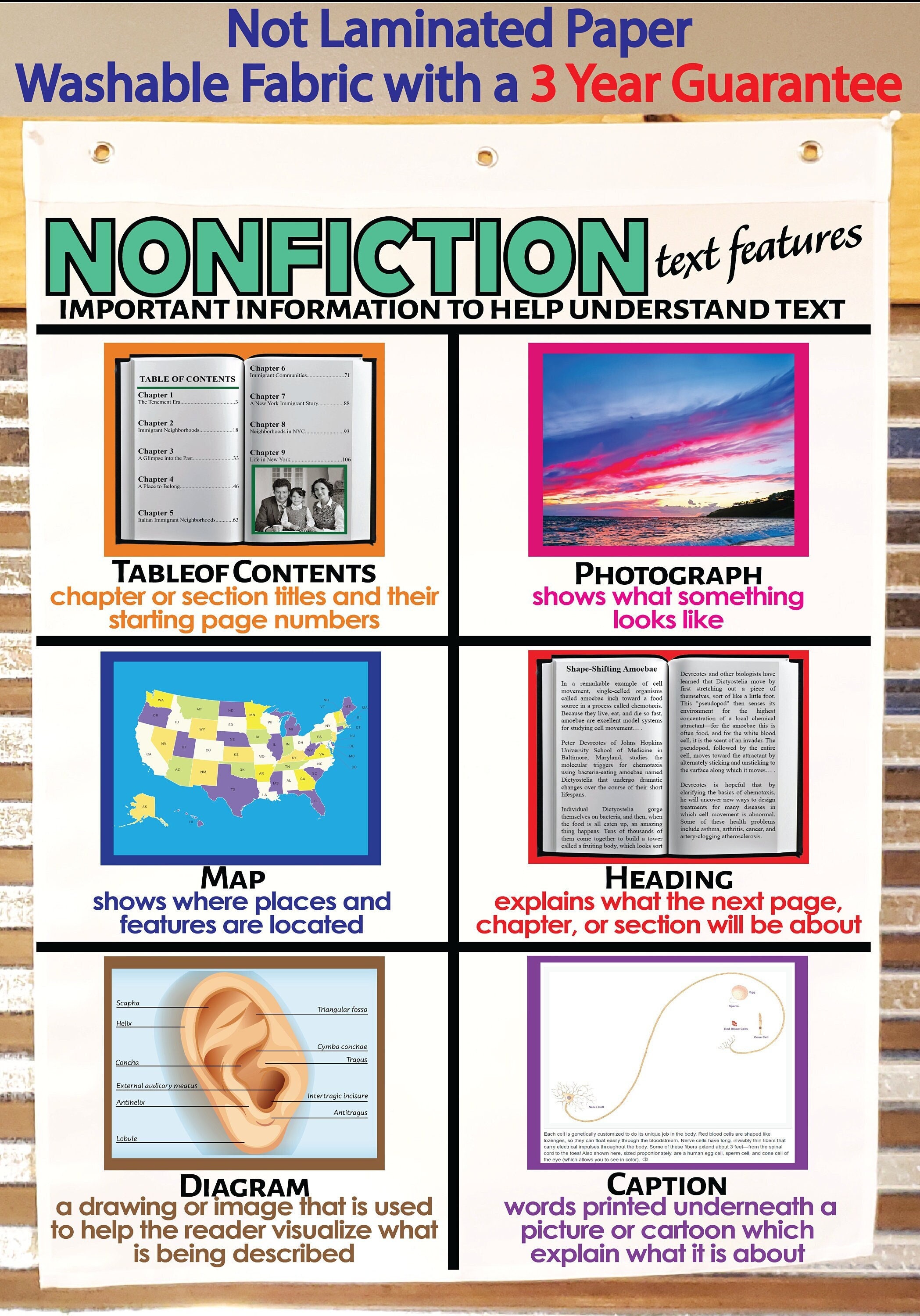 Nonfiction Text Features Anchor Chart, Printed on FABRIC Anchor Charts ...