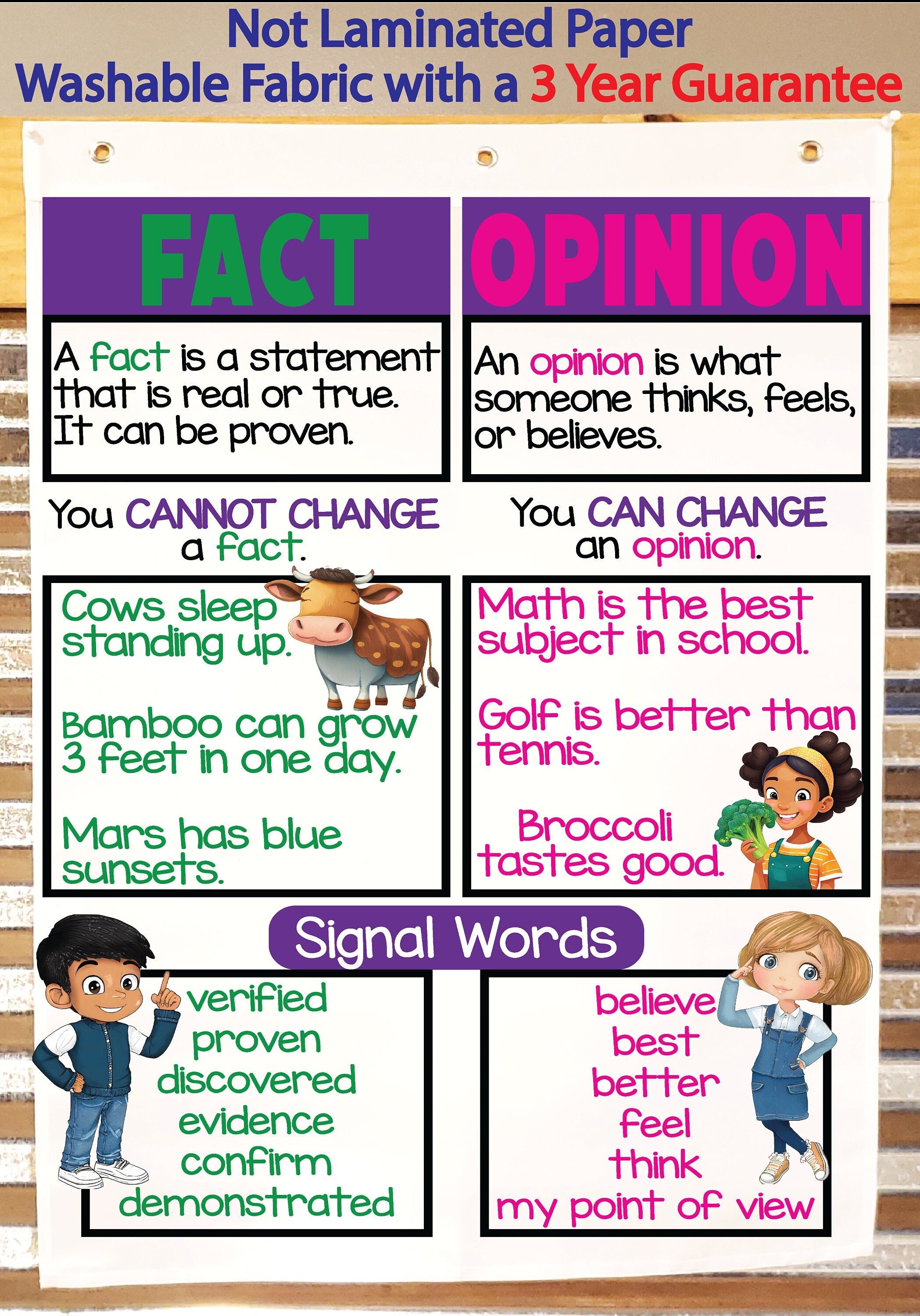 Cuadro De Anclaje De Hechos Y Opiniones Scienceny Kit De Anclaje Para