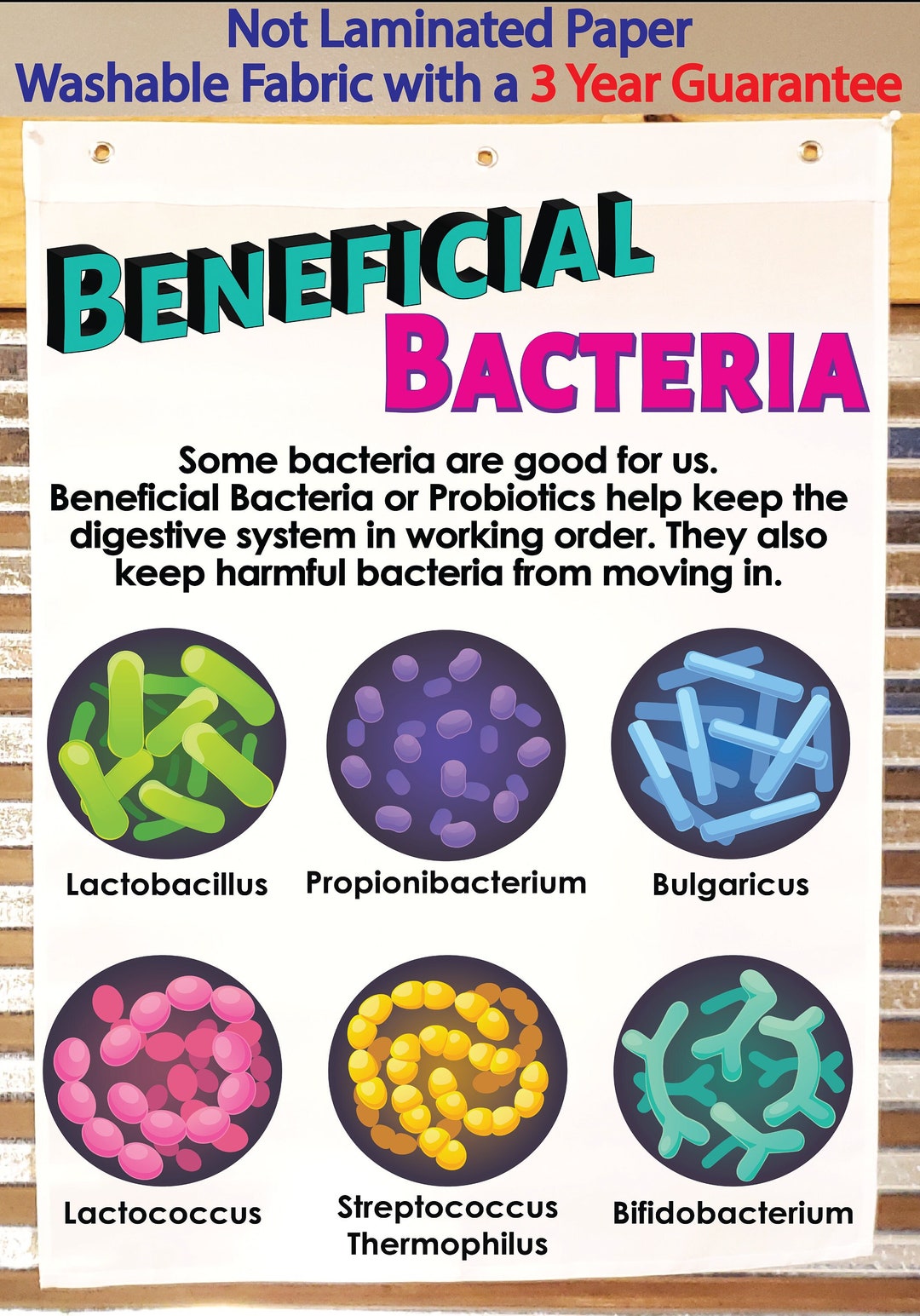 Beneficial Bacteria Anchor Chart, Printed on FABRIC! Anchor Charts Are ...