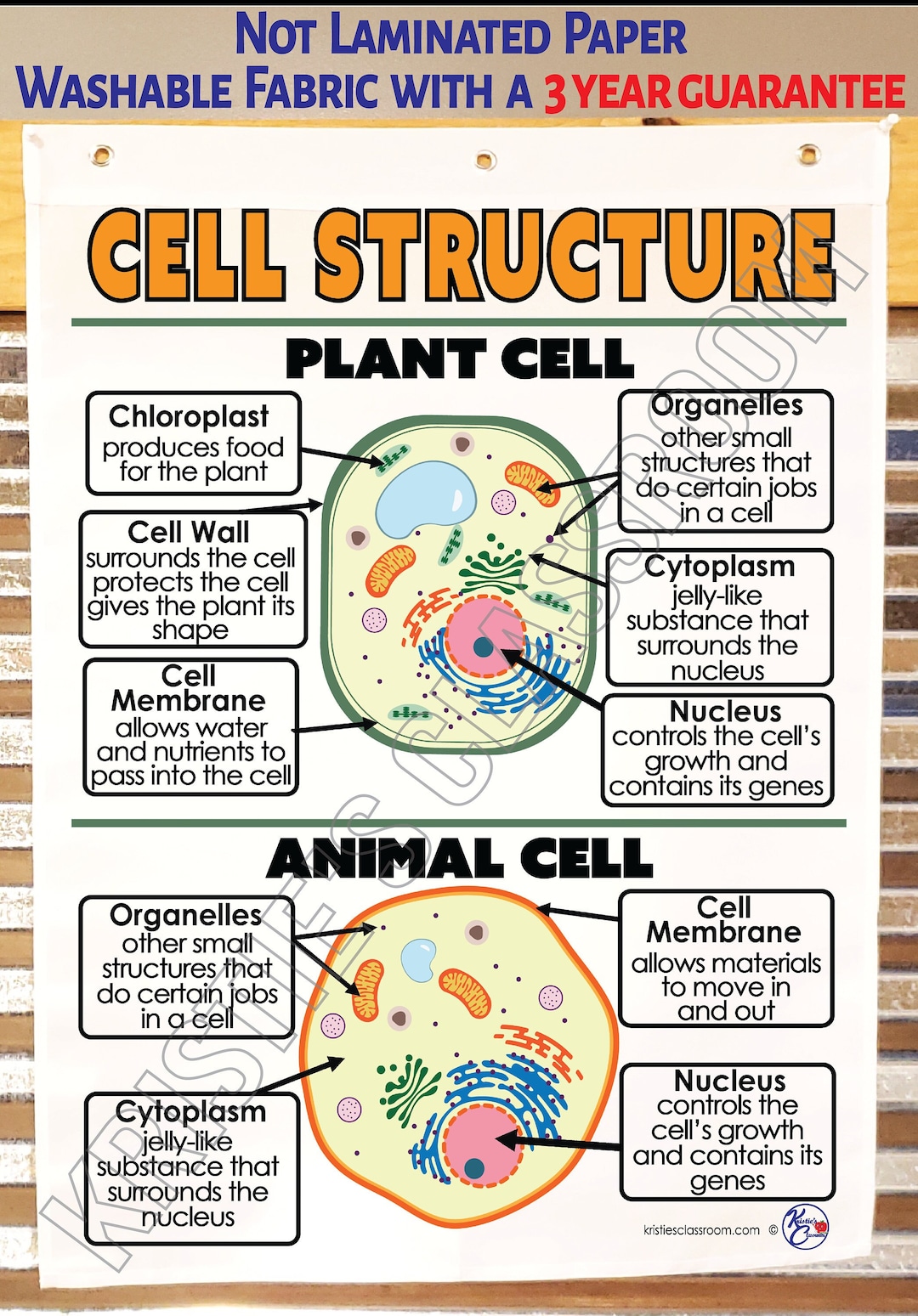 Basic Cell Structure (plant and Animal) Anchor Chart Printed on FABRIC ... Basic Cell Structure (plant and Animal) Anchor Chart Printed on FABRIC ...