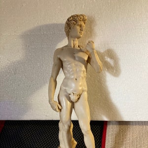 michelangelo david fig leaf