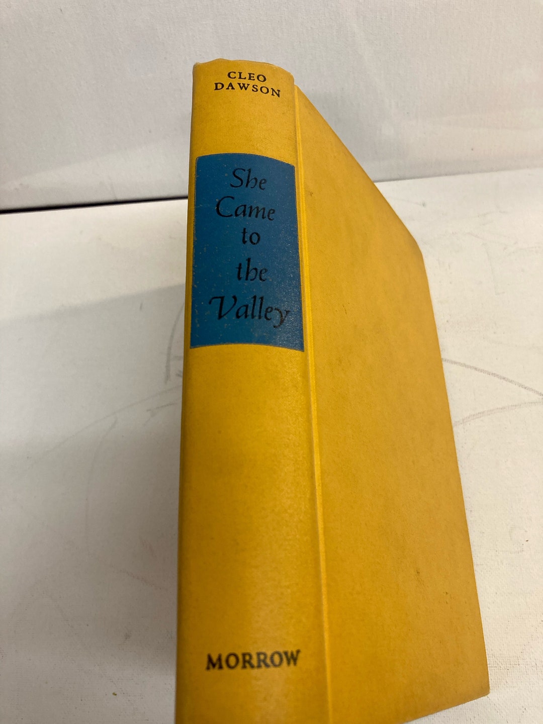 She Came to the Valley by Cleo Dawson Signed by the Writer. Copyright ...