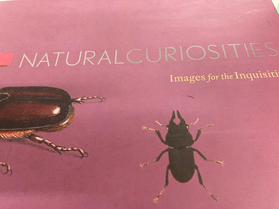 Natural Curiosities ,images for Inquisitive,volume 14 ,limited Edition ...