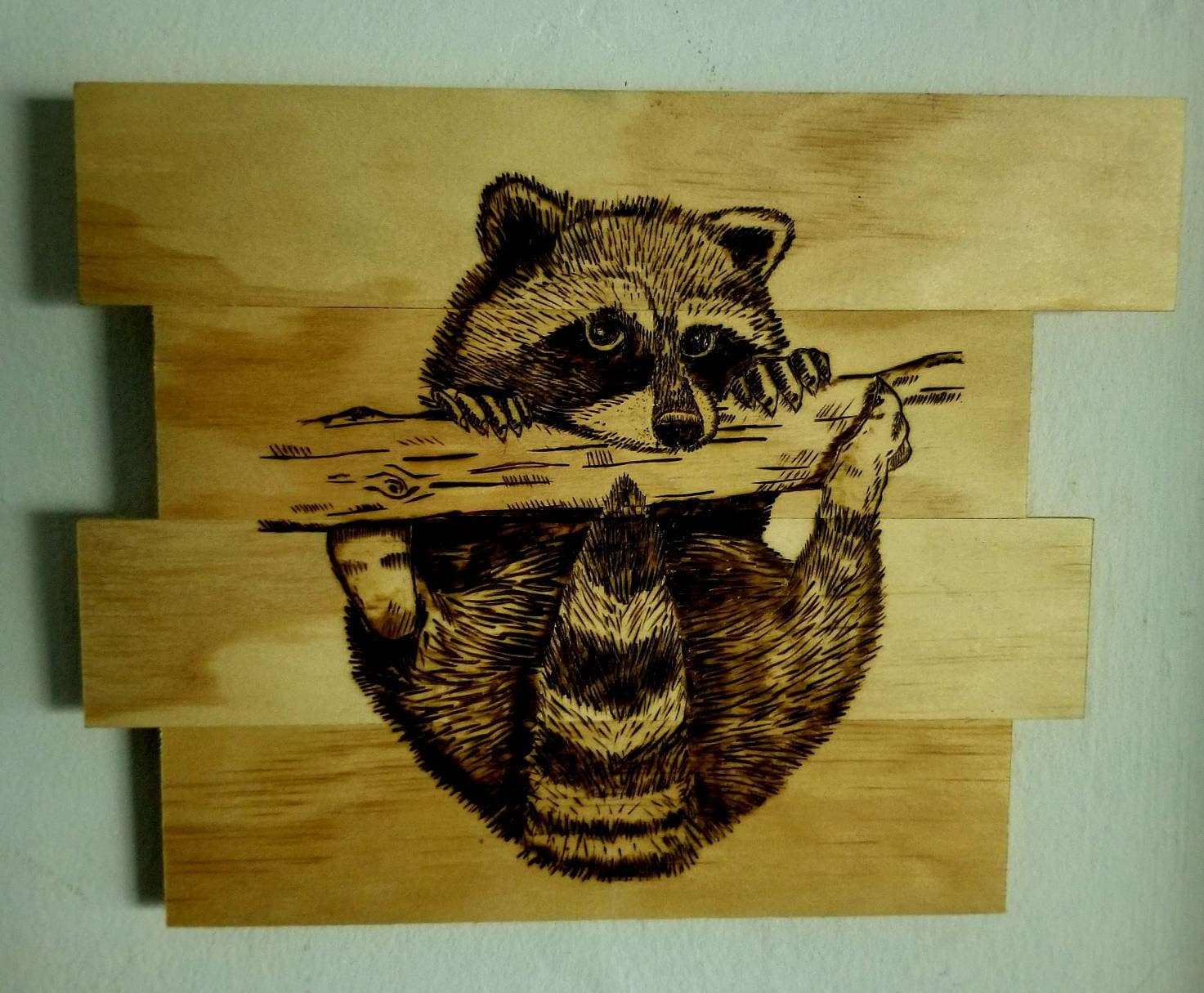 Hanging Raccoon - Etsy