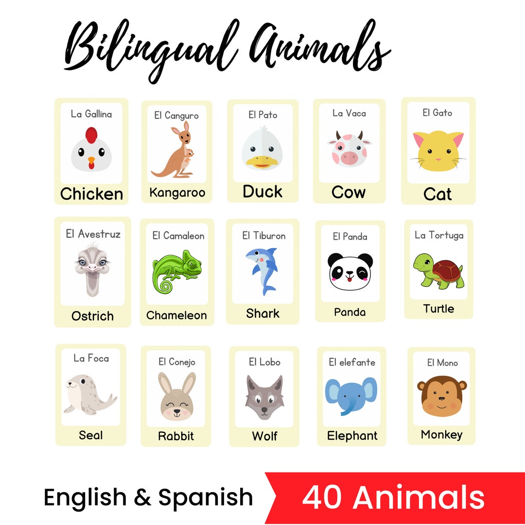 Bilingual Animal Flashcards in Spanish and English - 40 Printable ...
