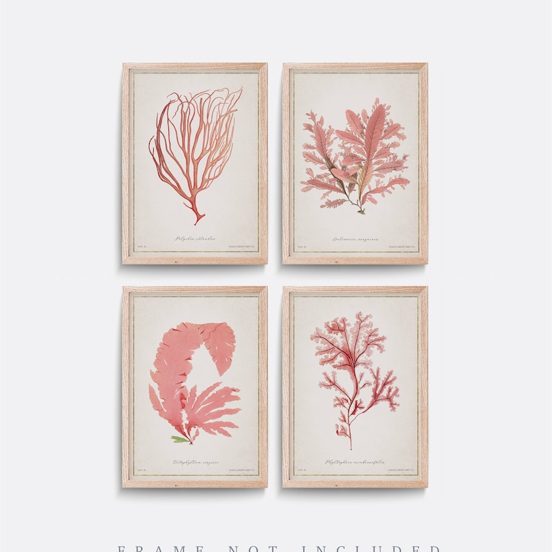 Pink Coral Paintings - Etsy UK