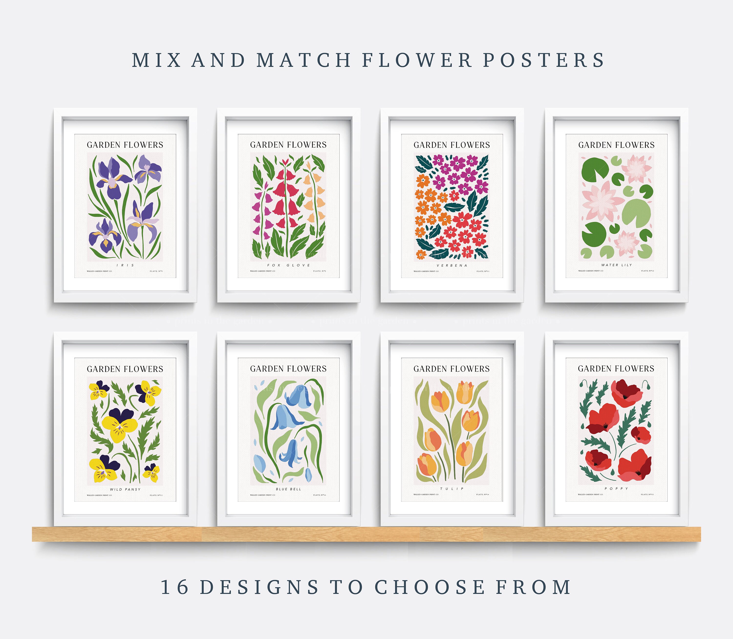 Flower Poster Types of Flower Print Vintage Poster - Etsy UK