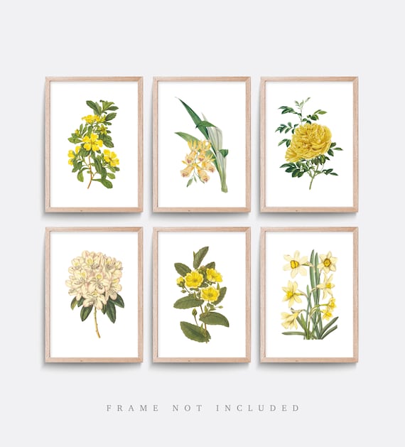 Estampados Y Carteles De Flores