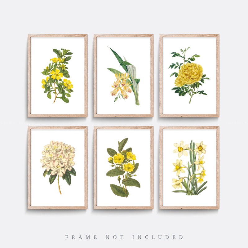 Yellow Botanicals Prints - Etsy UK