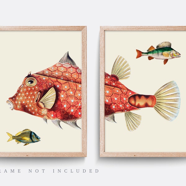 Vintage Fish Poster - Etsy