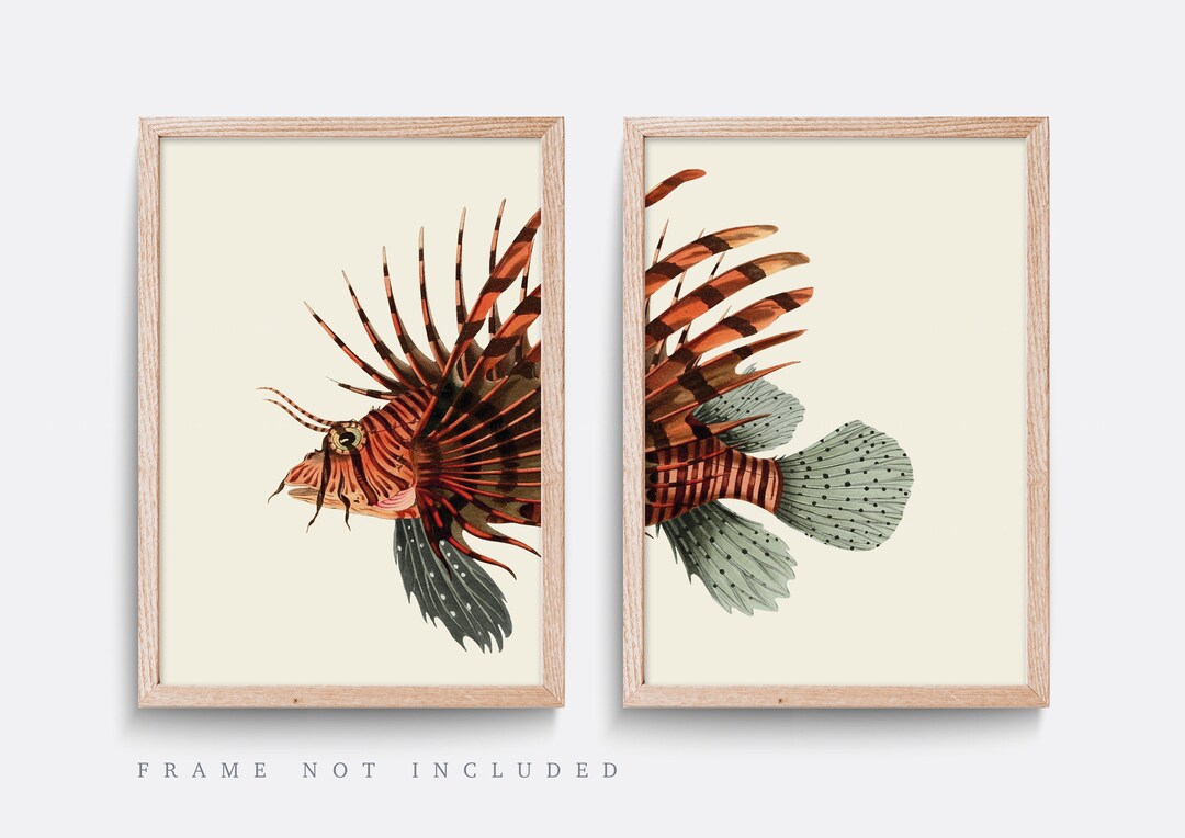 Red Lionfish Print, Vintage Nature Poster, Set of 2 Prints, Natural ...