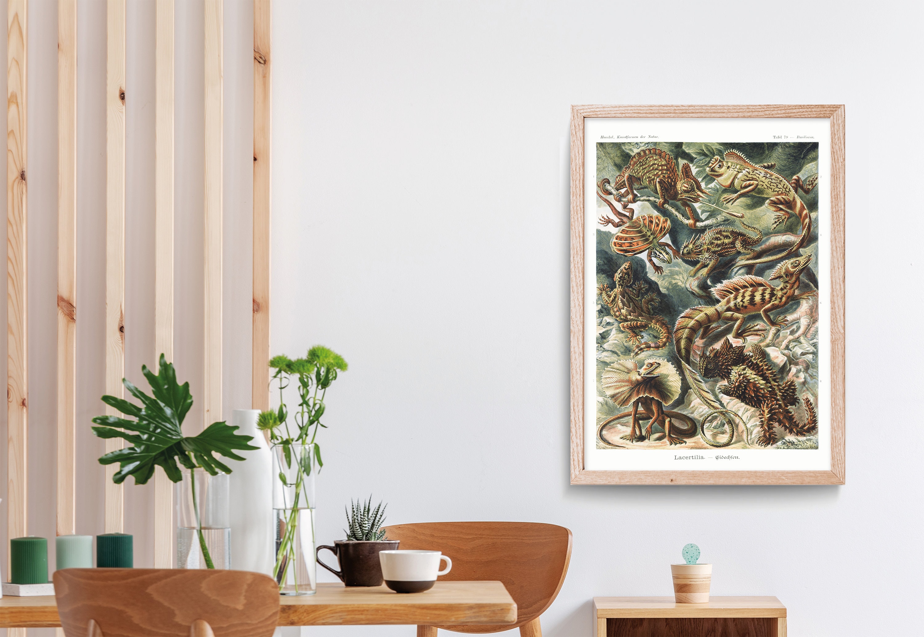 Vintage Nature Posters, Botanical Art, Natural History Print, Living ...