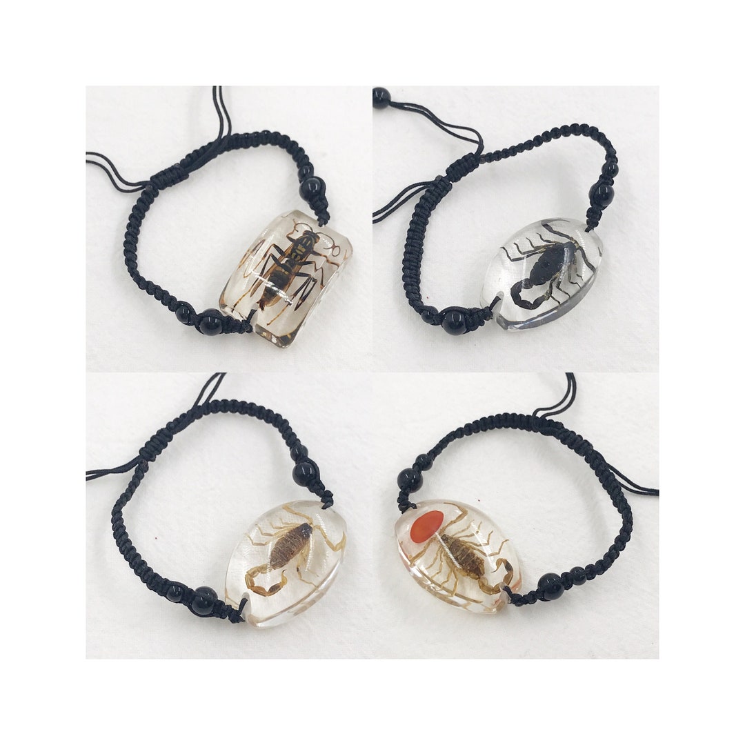Resin Scorpion Bugs Specimen Adjustable Bracelet - Etsy