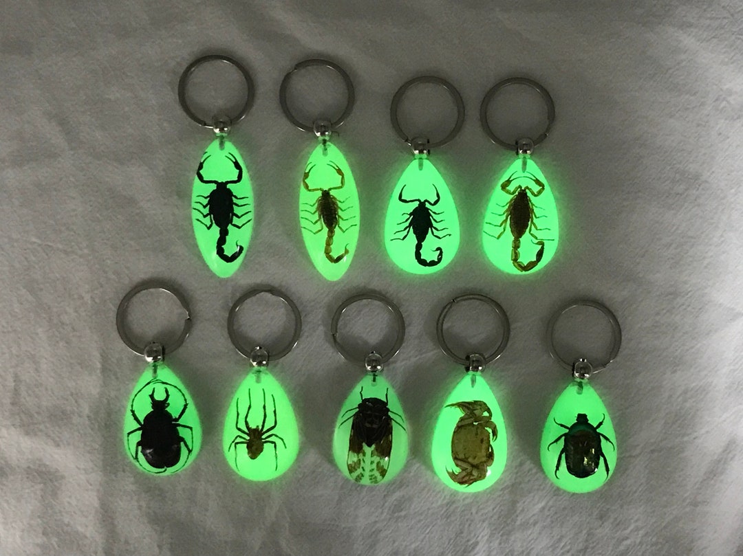 Glows in the Dark Resin Real Bugs, Beetles, Scorpion Spider Keychain - Etsy