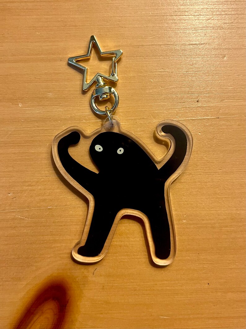 Cursed Cat Double-sided Acrylic Charm Keychain, Funny, Memes - Etsy